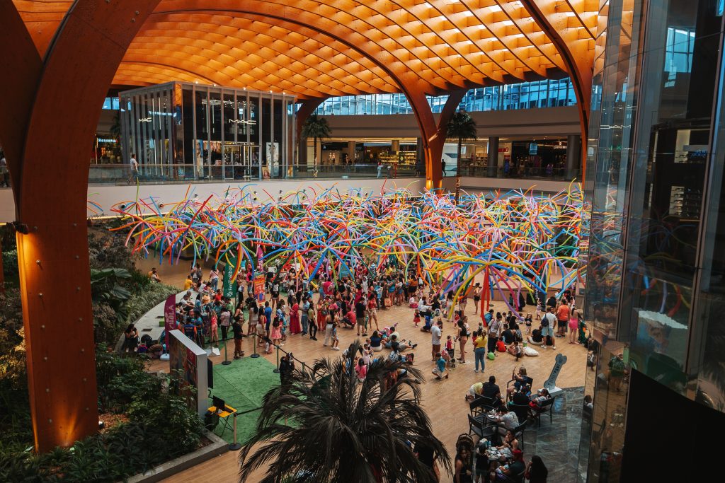 Cachola agita fevereiro de 2024 com atividades educativas e festivas ...